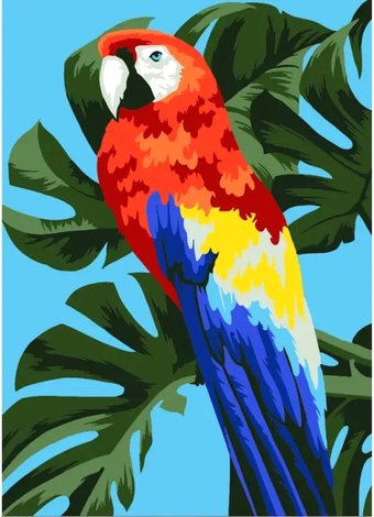 Wizardi Ара MINI123 картину по номерам купить в Минске